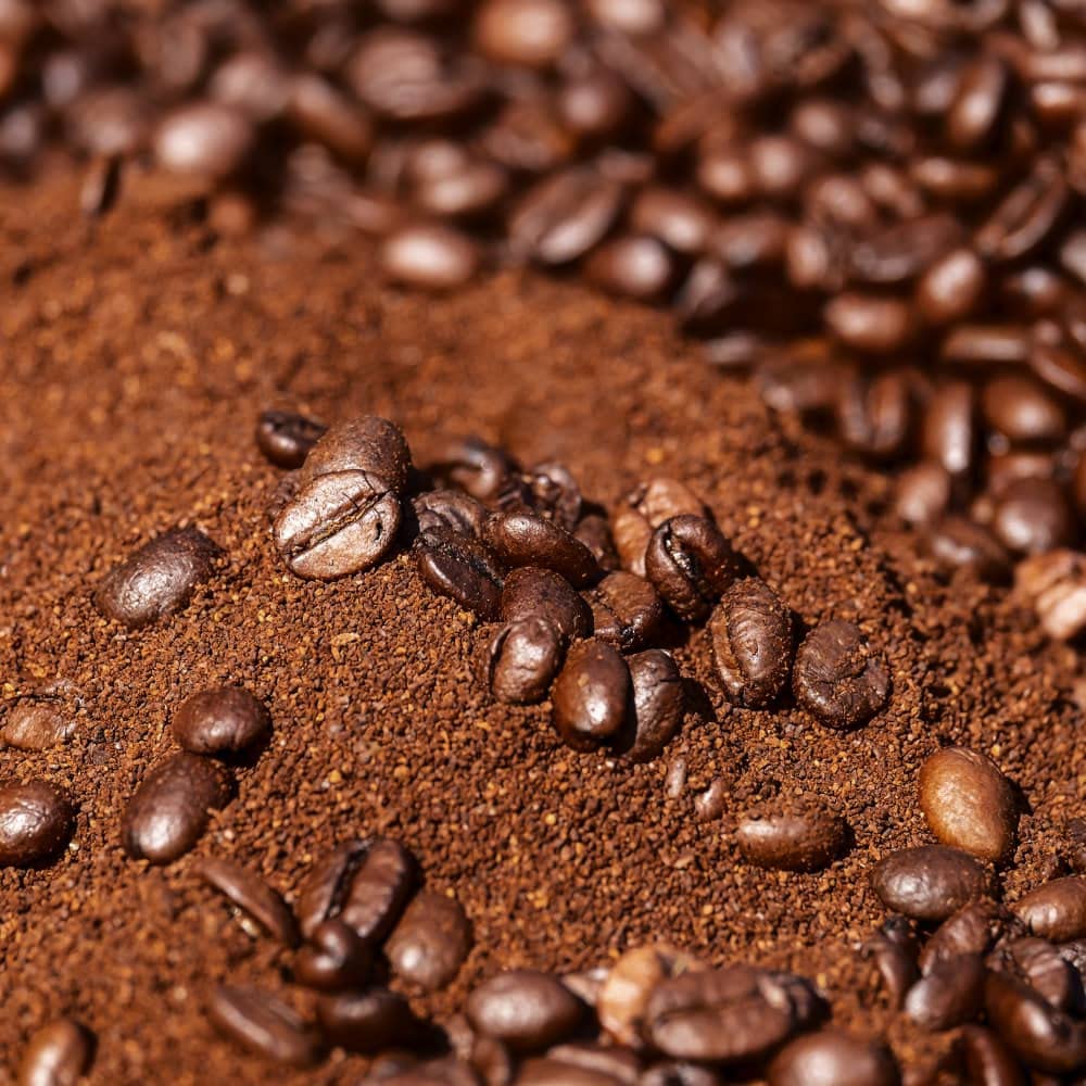 mushroom coffee for energy boost