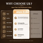 mushroom coffee for energy boost
