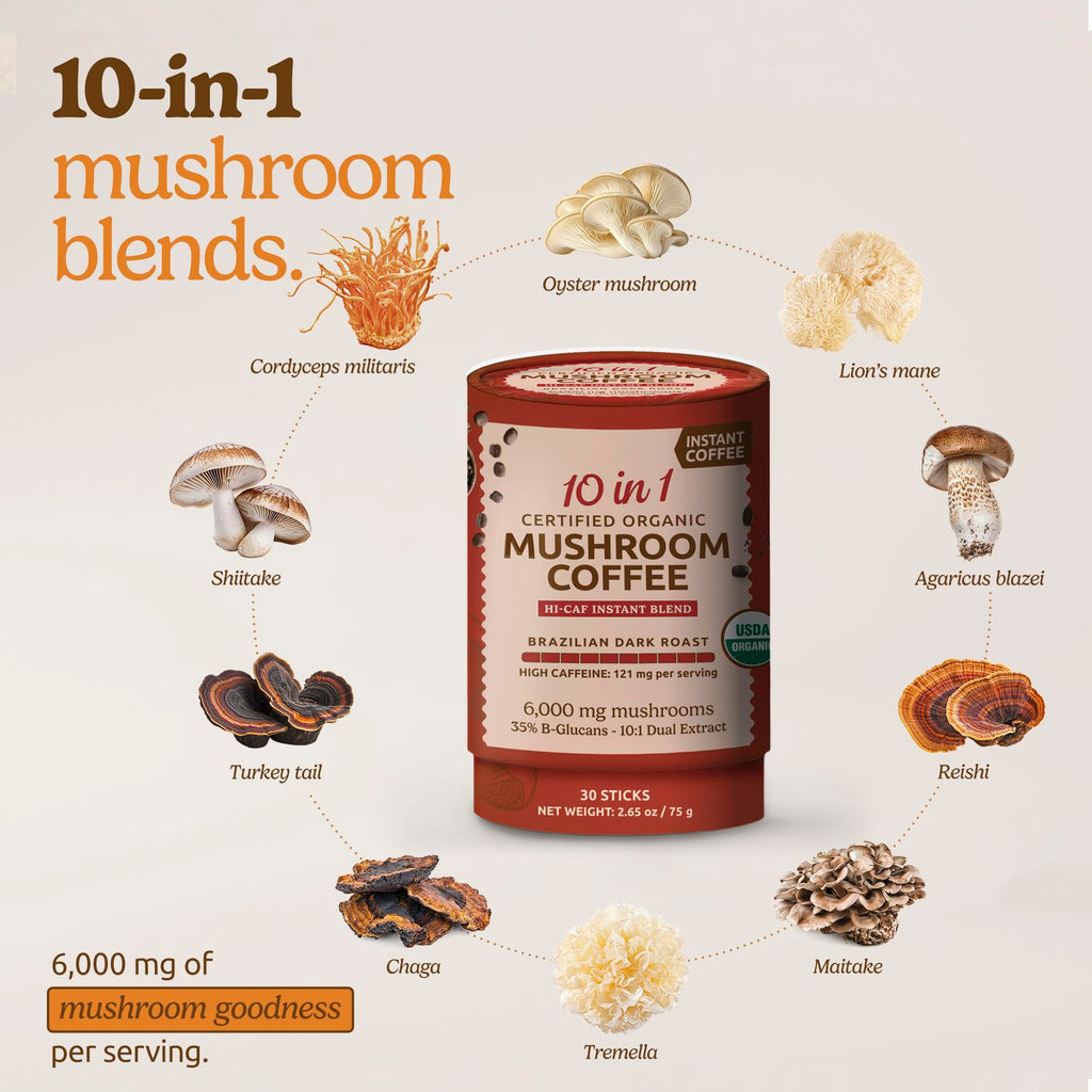 mushroom coffee for energy boost