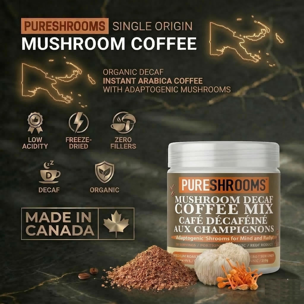 mushroom coffee for energy boost
