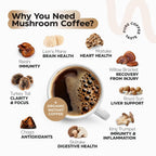 mushroom coffee for enhanced focus