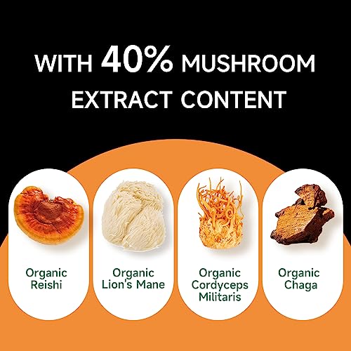 mushroom coffee for enhanced focus