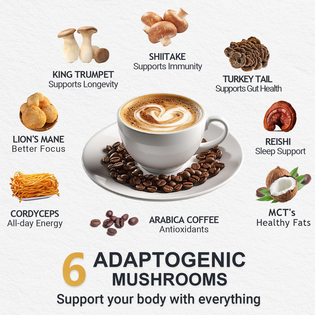 mushroom coffee for enhanced focus