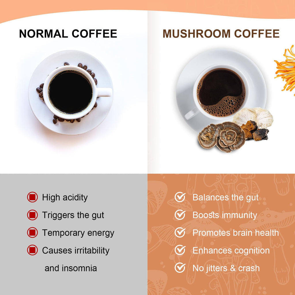 mushroom coffee for immune support