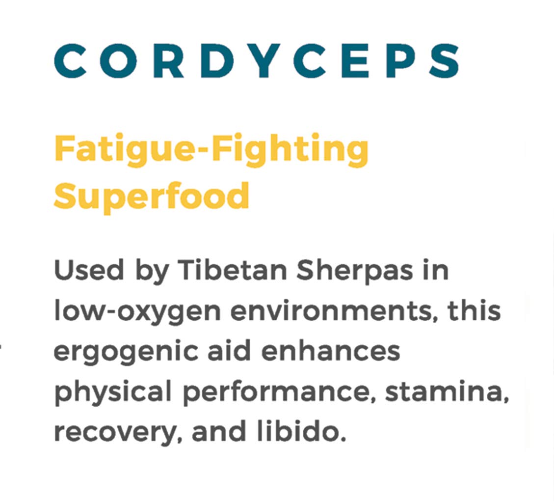 mushroom coffee for improved performance