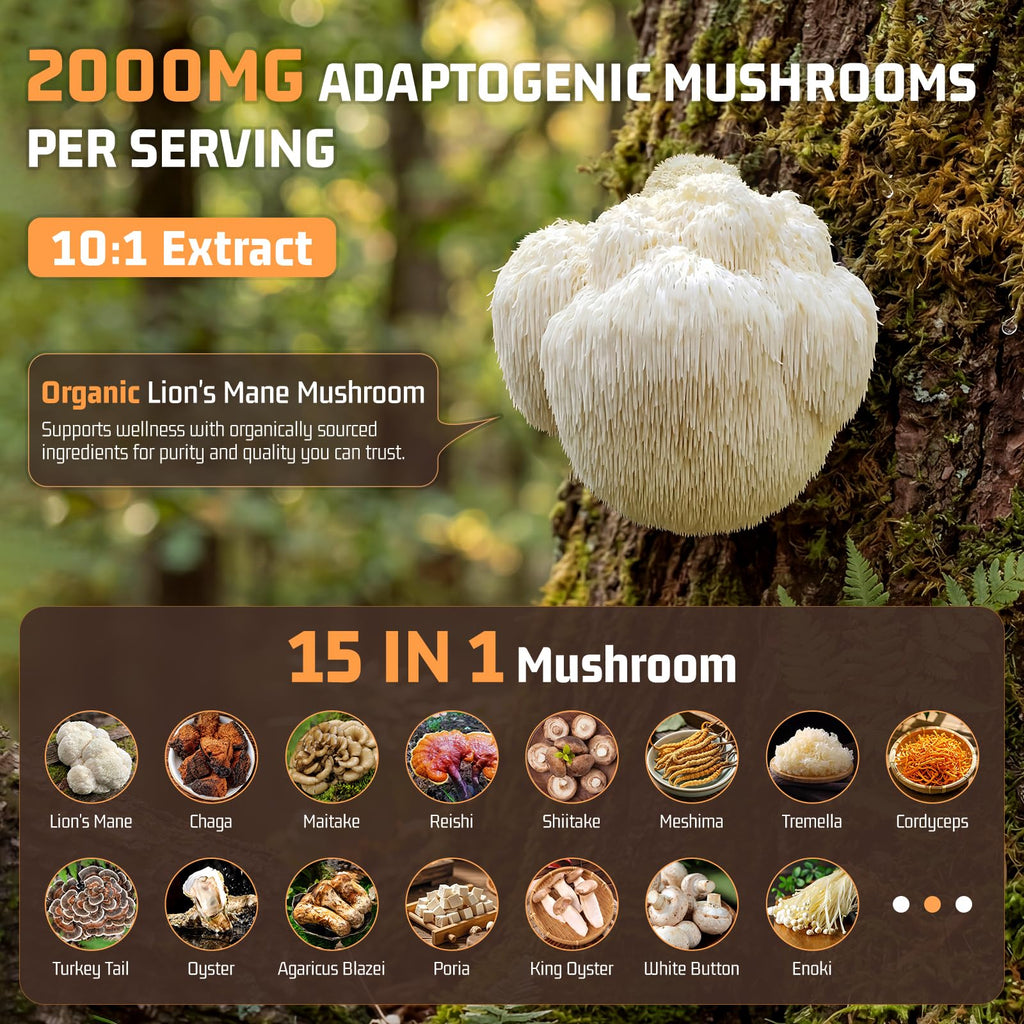 mushroom coffee for mental clarity