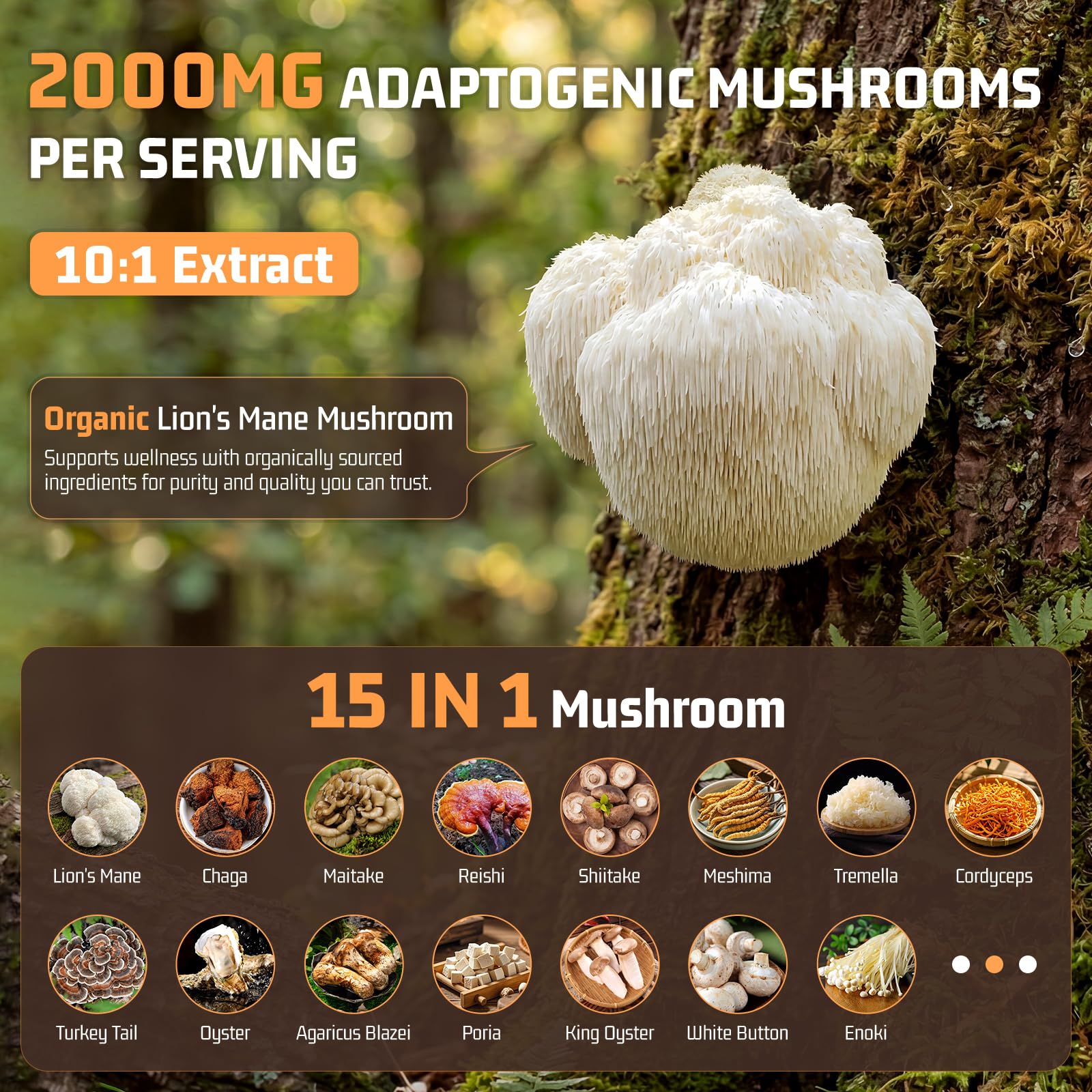 mushroom coffee for mental clarity