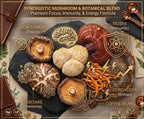 mushroom coffee for mental clarity