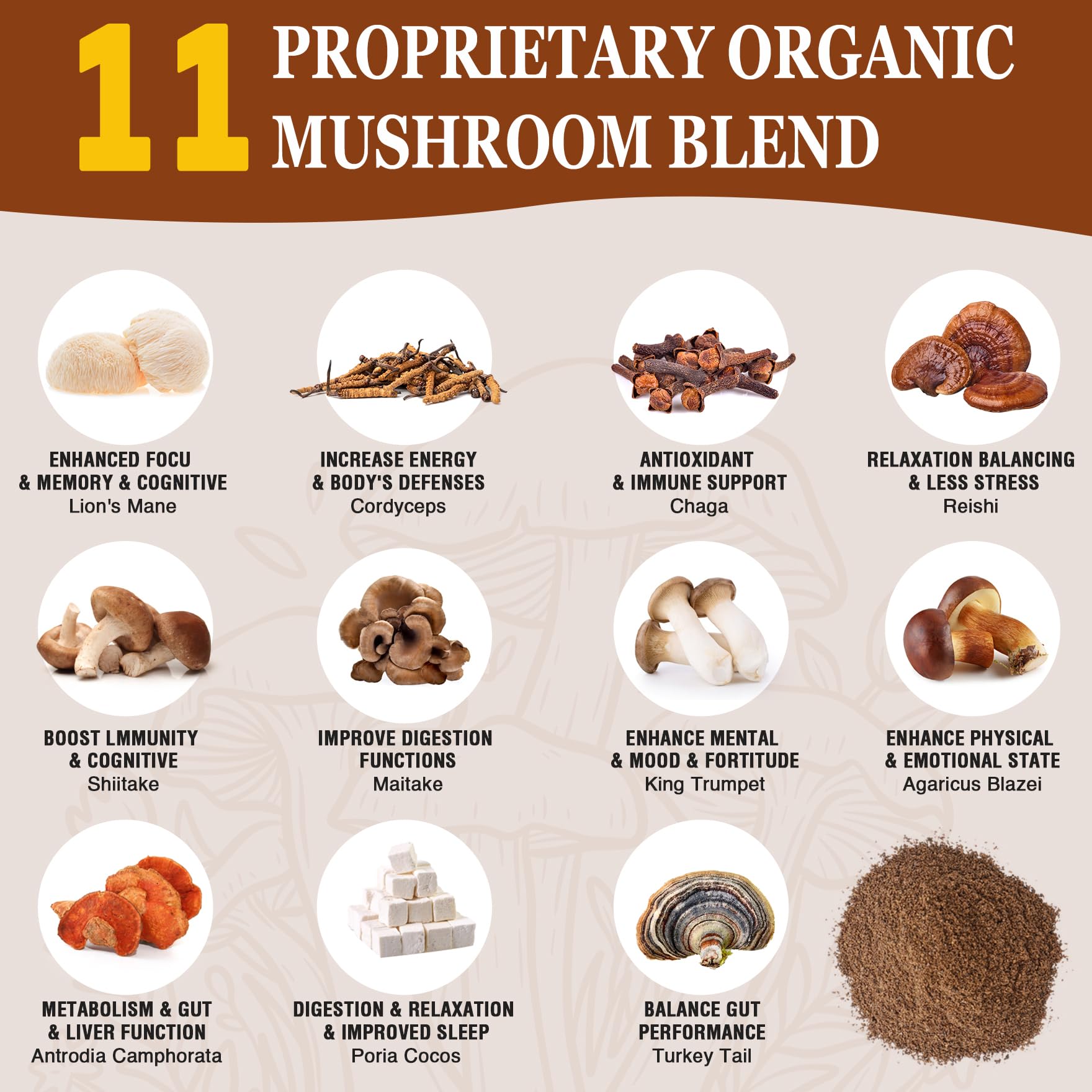 mushroom coffee for mental clarity