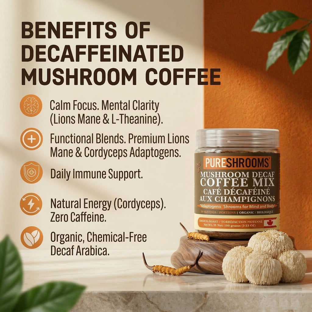 mushroom coffee for stress relief