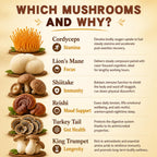 Mushroom coffee for stress relief