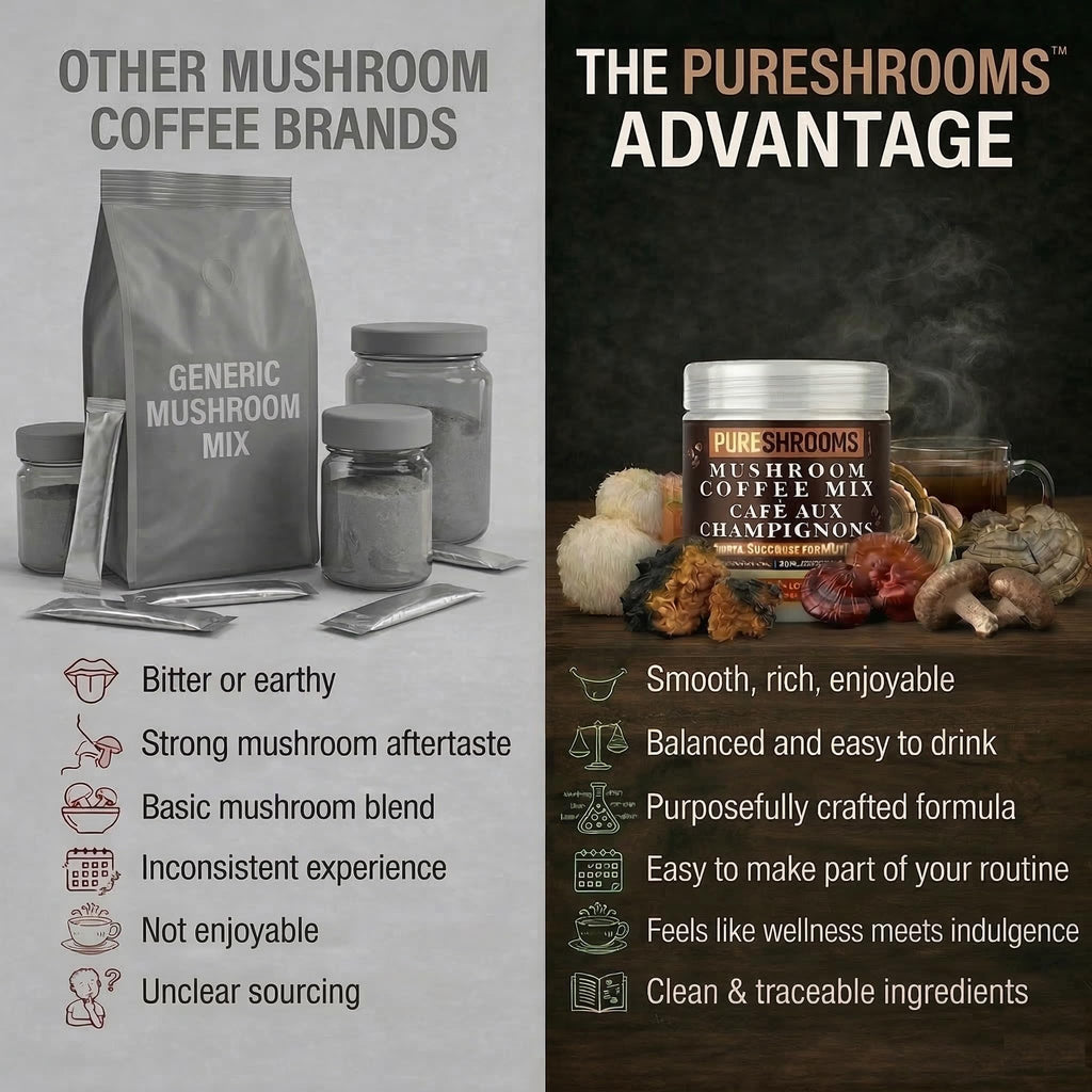 mushroom coffee for wellness routine