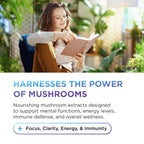 Mushroom complex for cognitive function