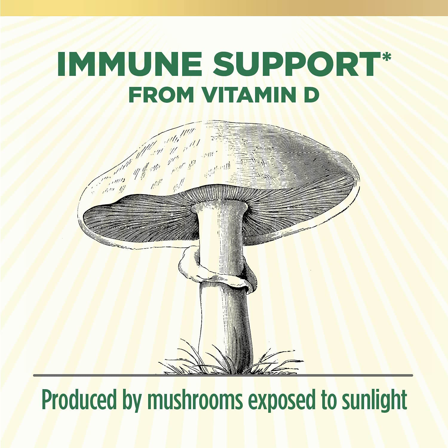 mushroom complex for daily health