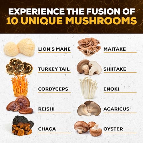 Mushroom Complex for daily nutrition