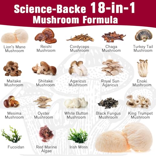 Mushroom complex for daily vitality