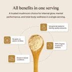 Mushroom complex for daily vitality