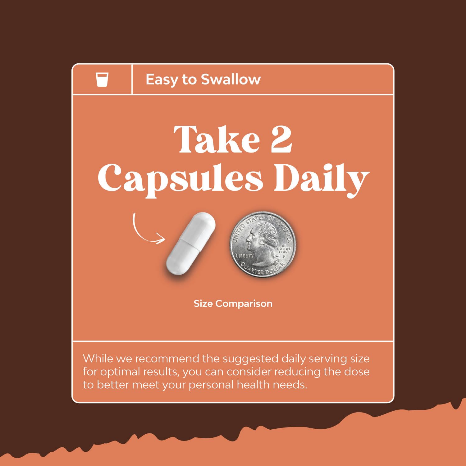 Mushroom complex for daily wellness