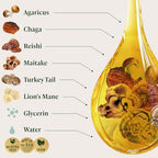 Mushroom complex for immune health