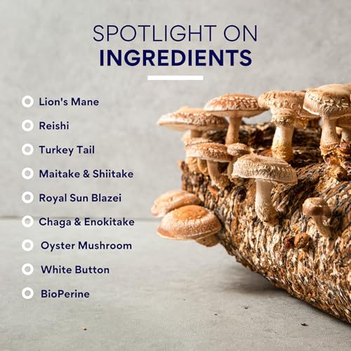 Mushroom complex for immune resilience