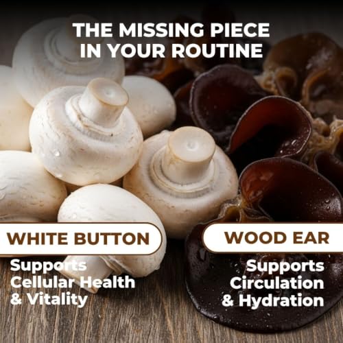 Mushroom complex for immune support