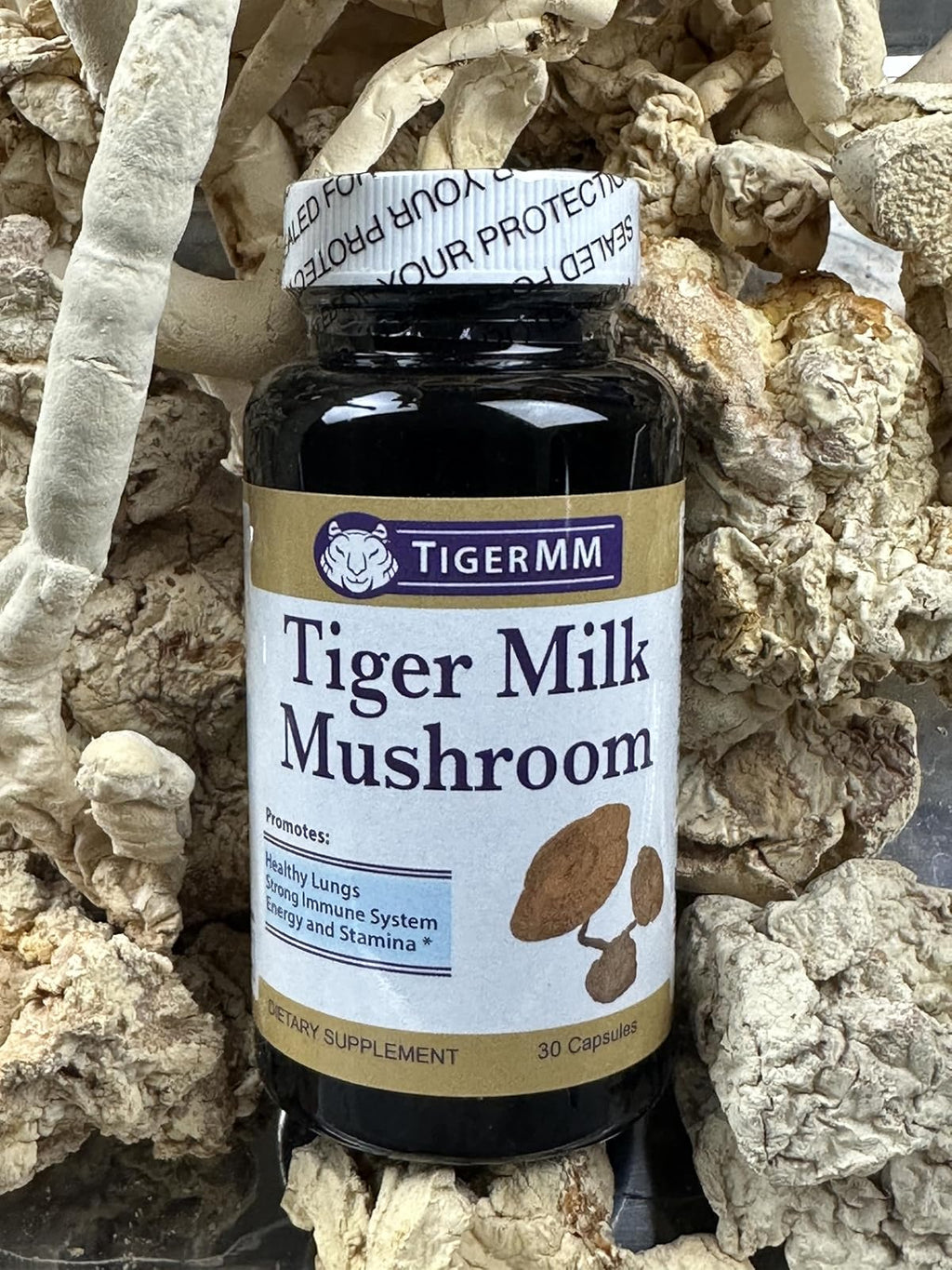 mushroom complex for immune support