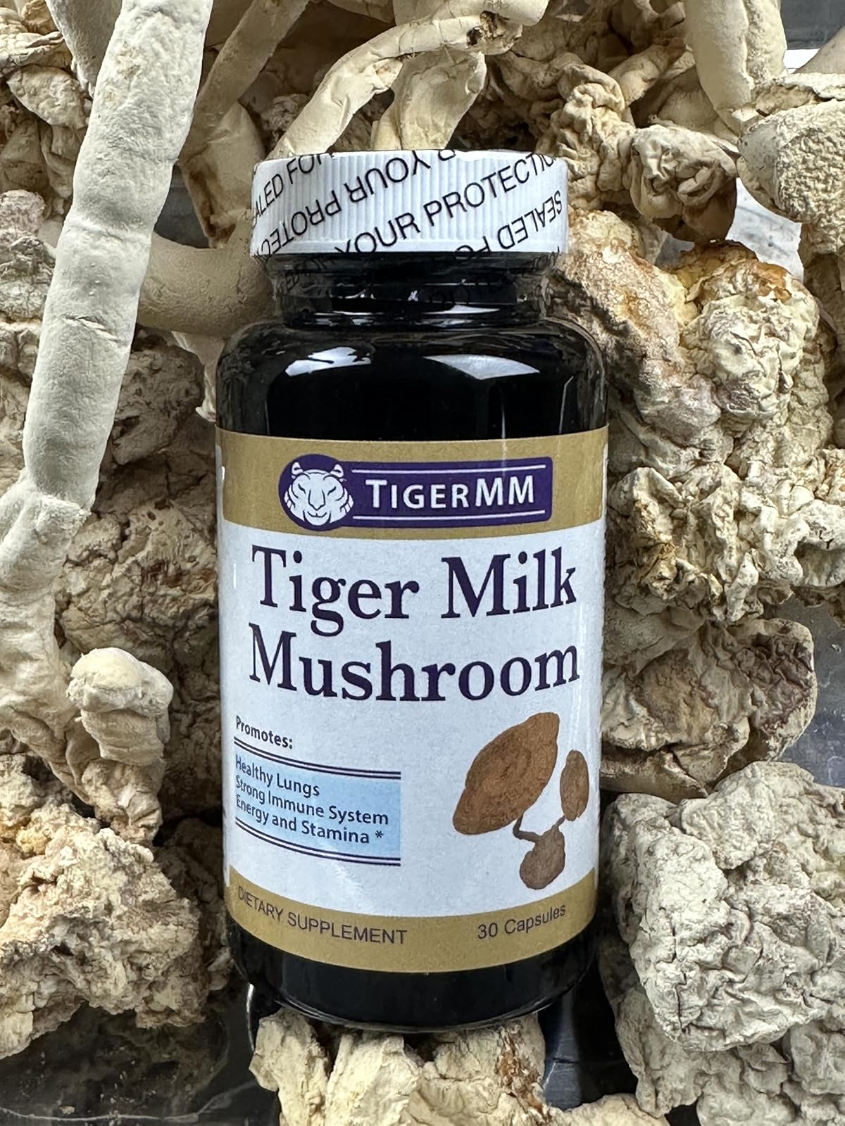 mushroom complex for immune support