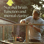 Mushroom complex for mental clarity