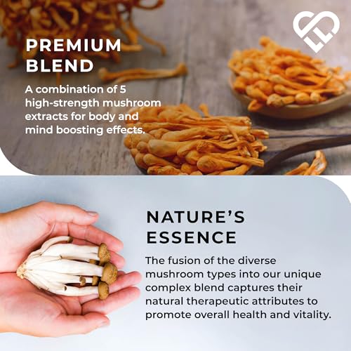 Mushroom complex for mental clarity