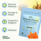 Mushroom complex for mental clarity