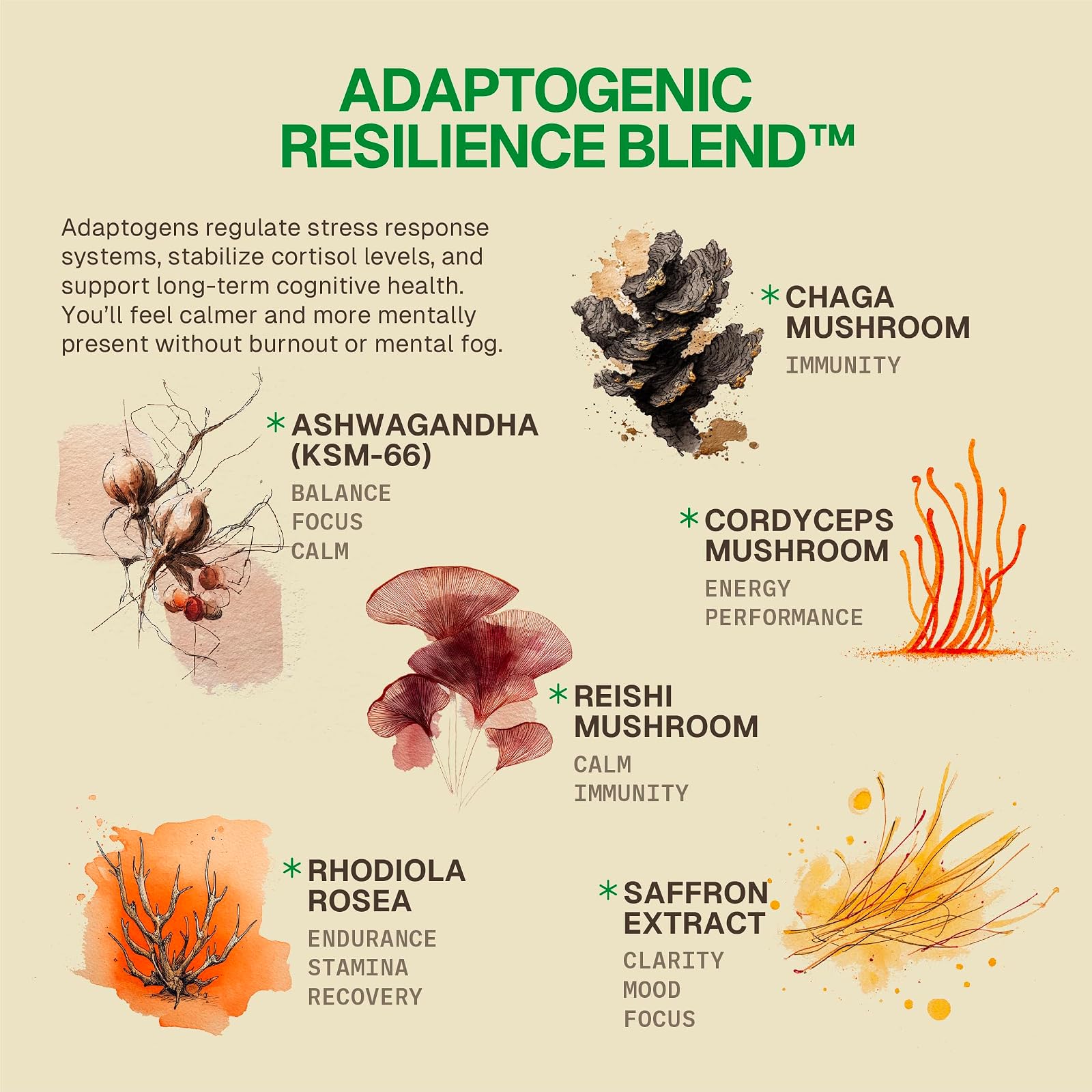 mushroom complex for overall wellness
