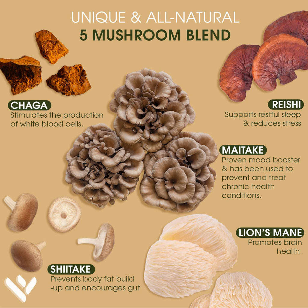 mushroom complex for overall wellness
