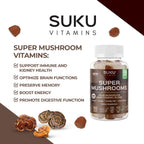 Mushroom complex for overall wellness