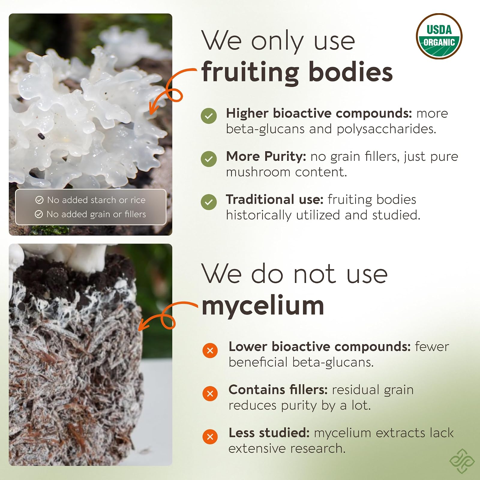 Mushroom complex for overall wellness