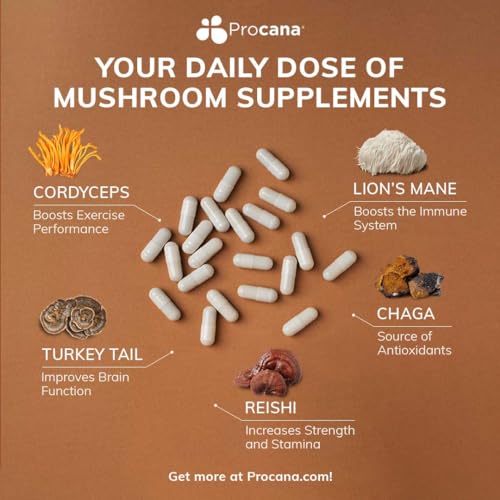 Mushroom complex for vitality and energy