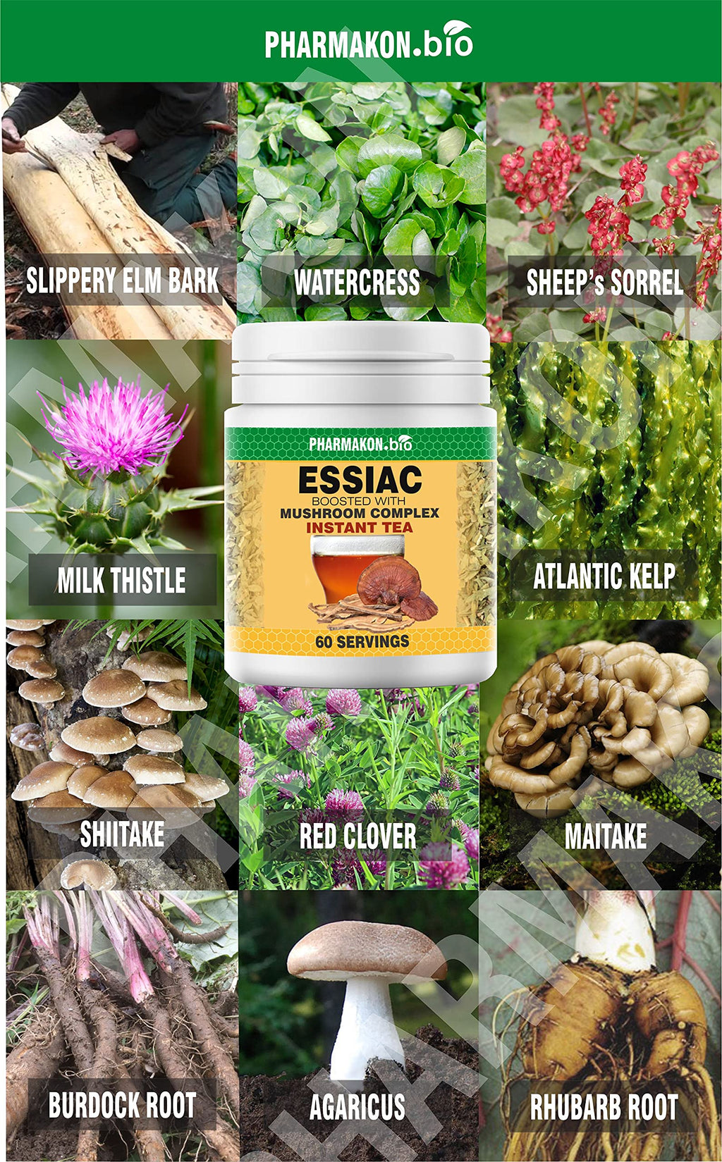 mushroom complex for wellness