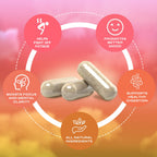 mushroom complex for wellness