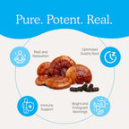 mushroom complex for wellness