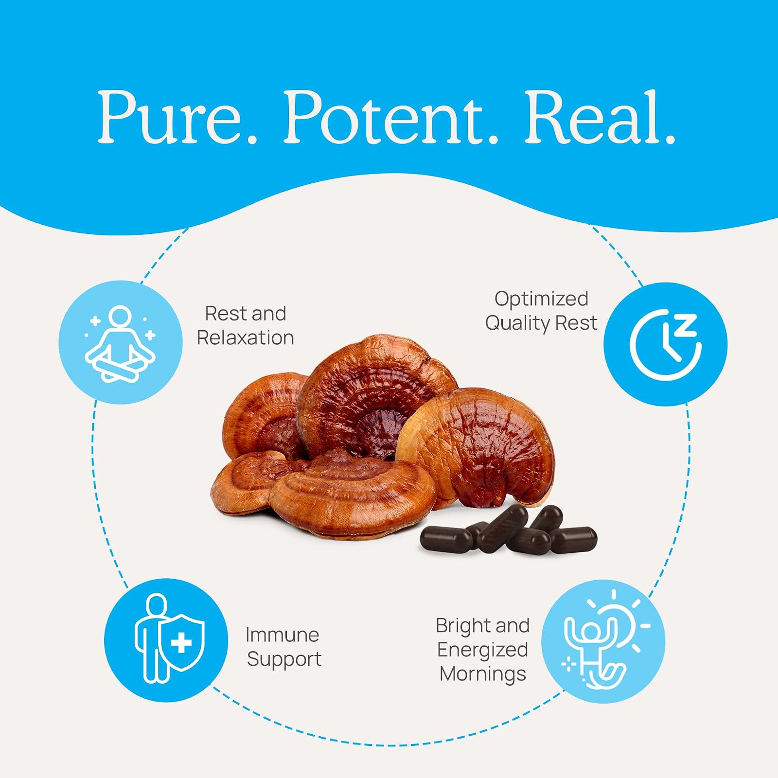 mushroom complex for wellness