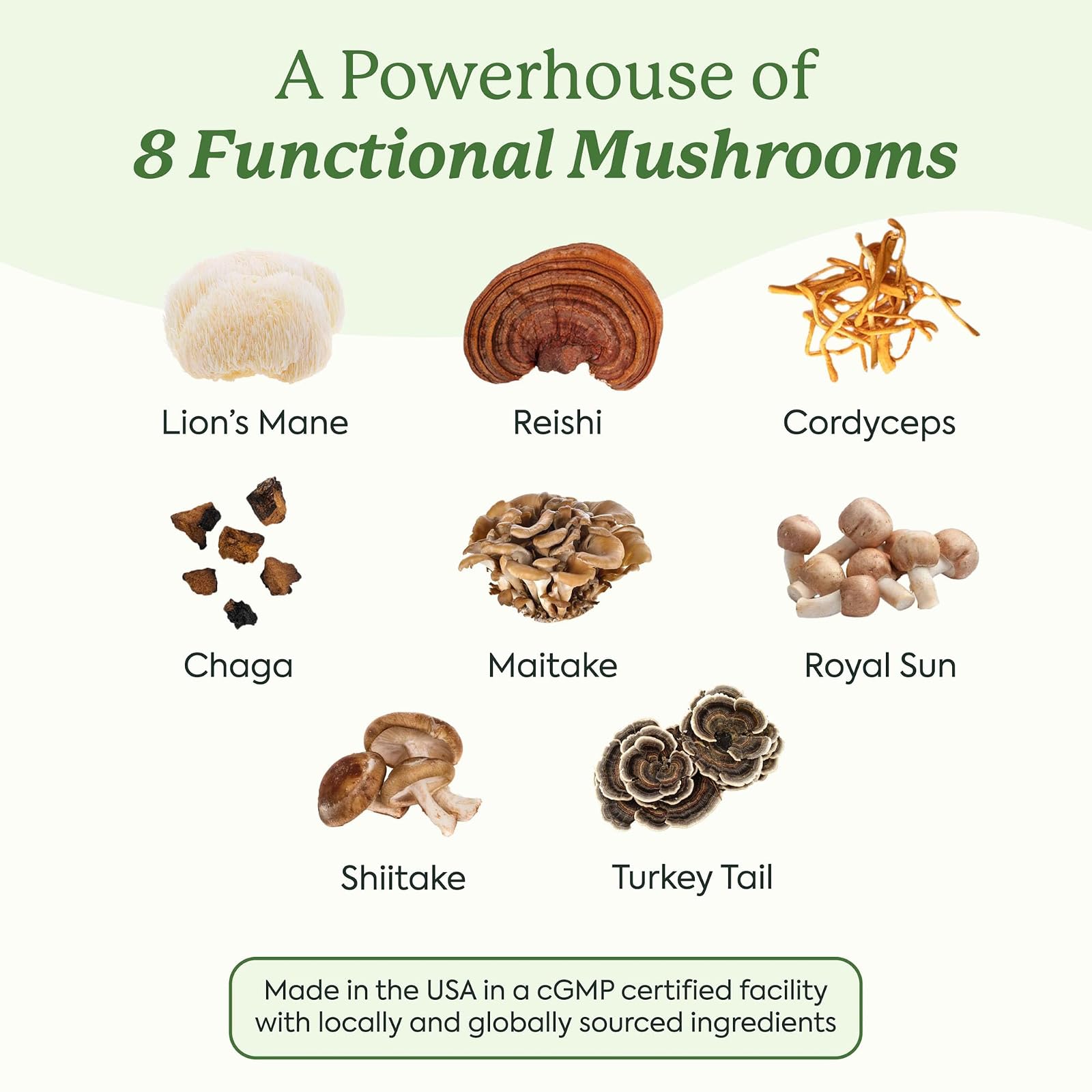 Mushroom complex supplement for daily health