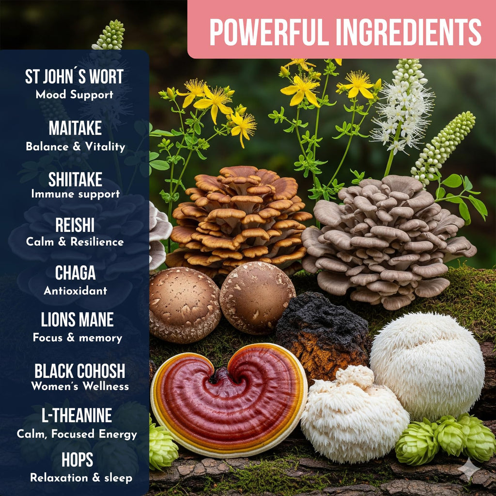 mushroom complex supplement for energy