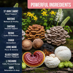 mushroom complex supplement for energy