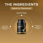 mushroom complex supplement for energy