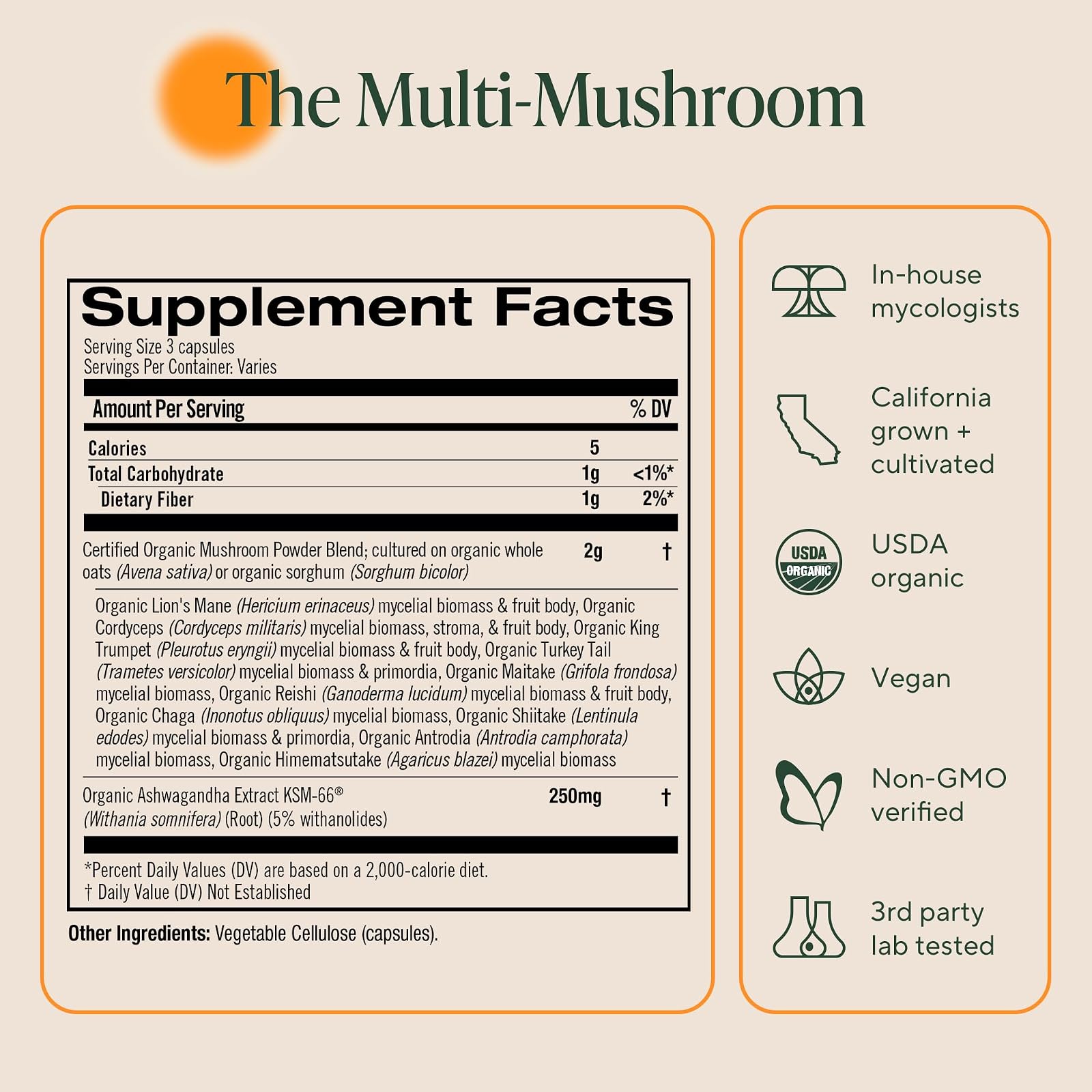 mushroom complex supplement for overall vitality