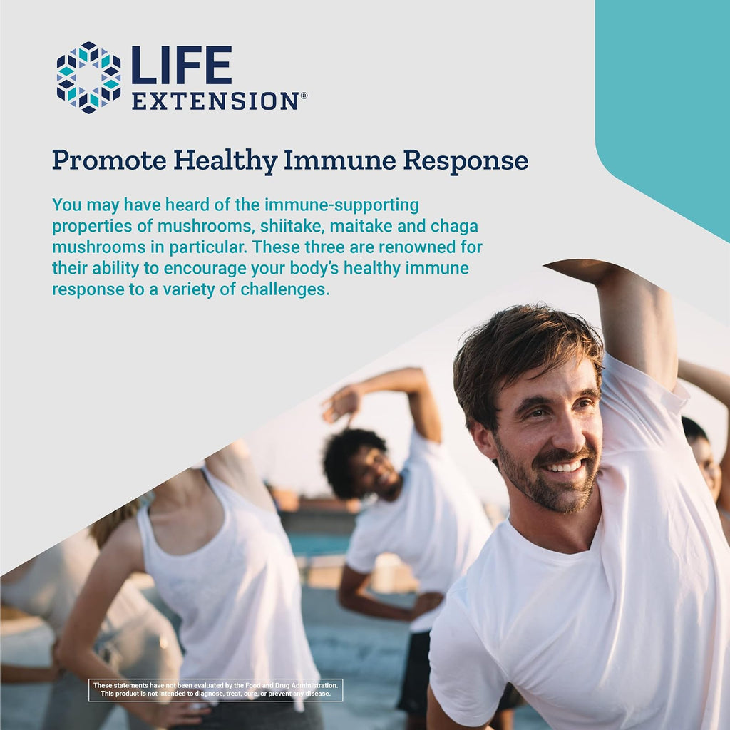 mushroom complex supplement for vitality