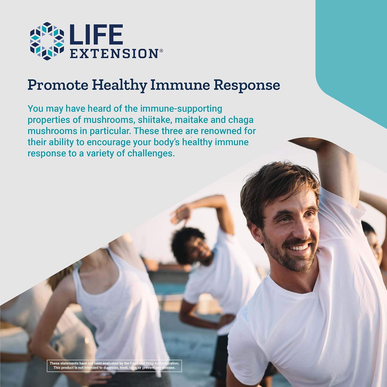 mushroom complex supplement for vitality