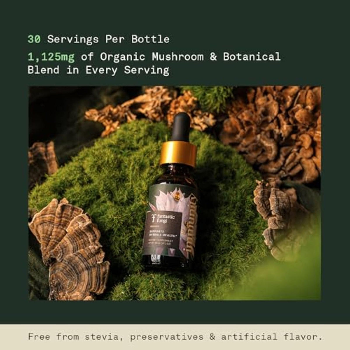 mushroom complex supplement for vitality