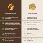 mushroom complex supplement for vitality