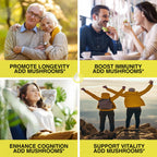 mushroom complex supplement for vitality