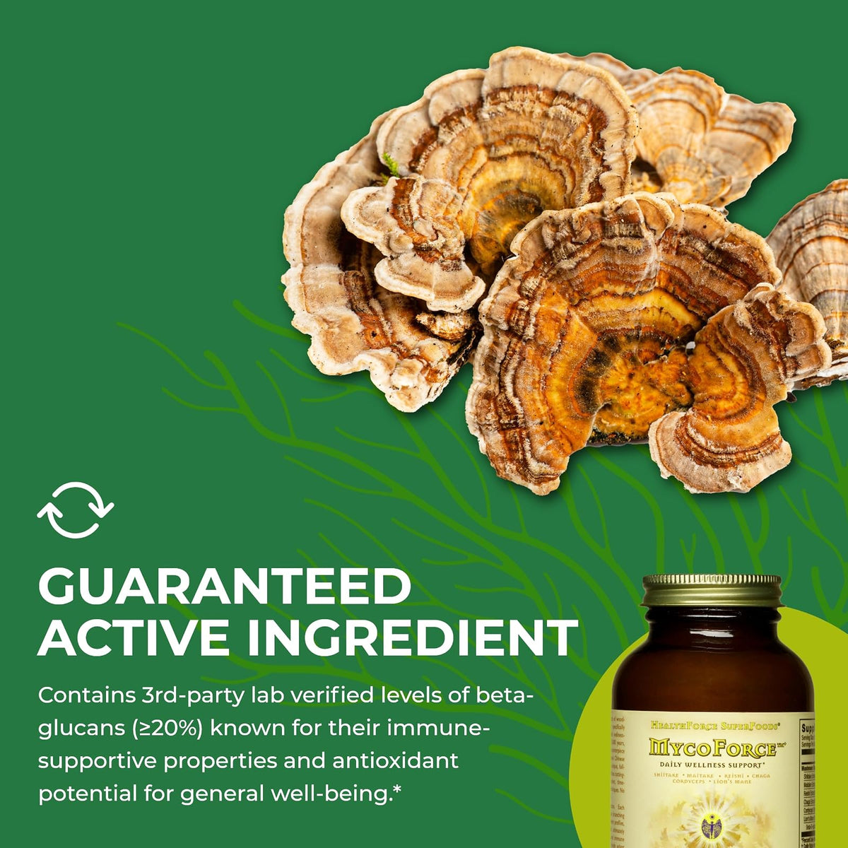 mushroom complex supplement for vitality